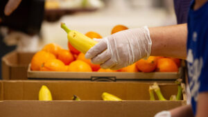 Meal Program - Capuchin Community Services